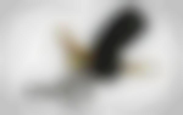 Macho Keychain Tools : Screwpop keychain