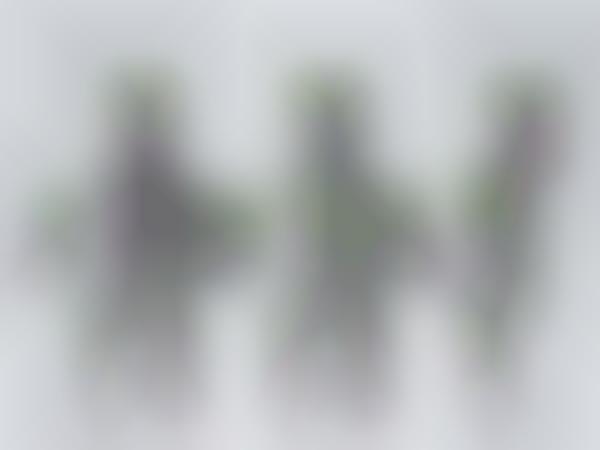 Organic Androids : Plant O Bot