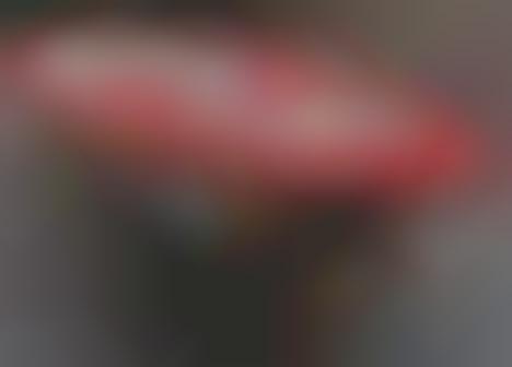 Shattered Skateboard Furniture : art of board