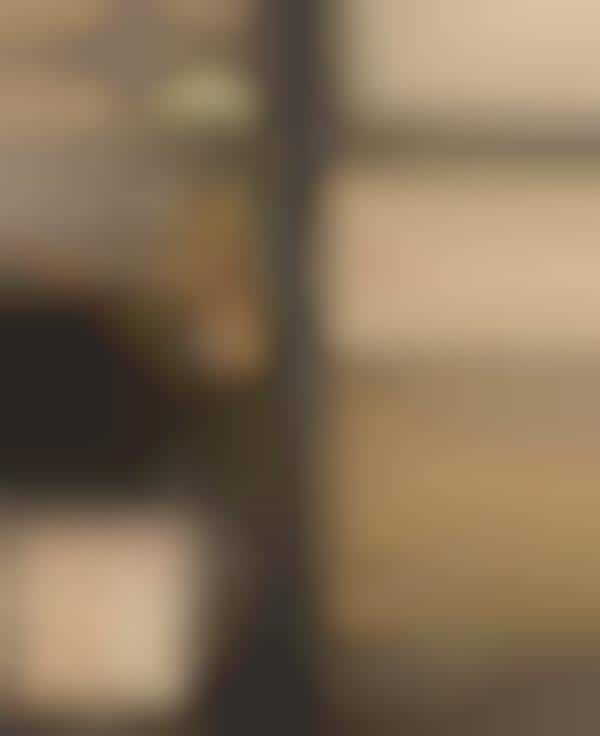 Digitized Work Domains : Electronic Office Screen Door