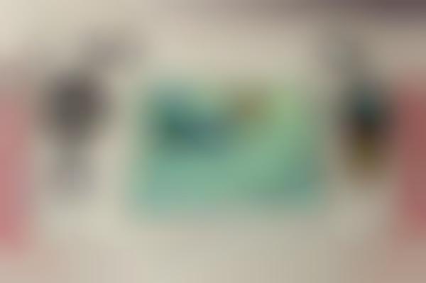 Handheld Console Mods : portable Wii