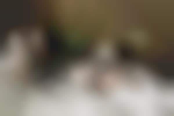 Inkmaster Editorials : Inked Girl Eva Huber