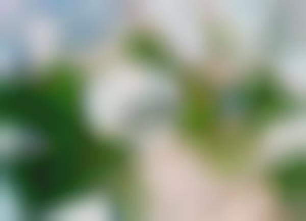 Bird's-Eye Tilt-Shift : Oliver Barbieri Tilting City