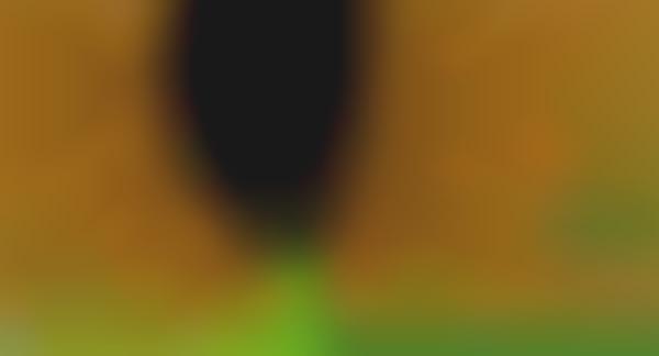 Ocean-Damaging Games : Super Mario Oil Spills