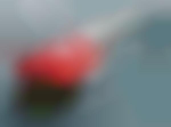 Bionic Life Savers : EMILY the Robot Lifeguard