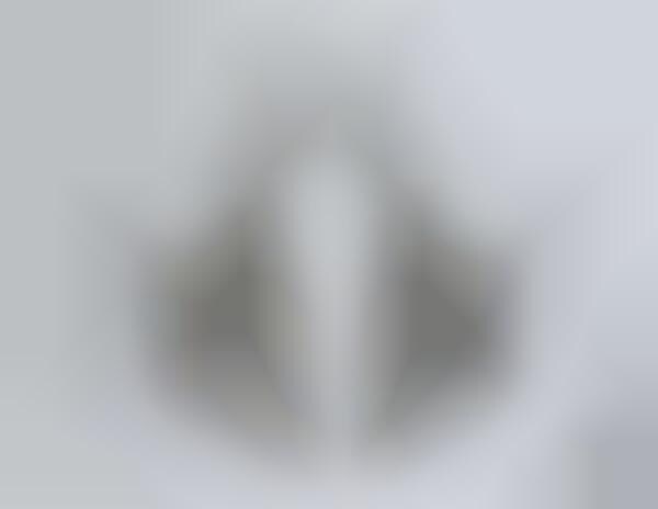 Flying Beast Jewelry : Stainless Steel Wing Earrings