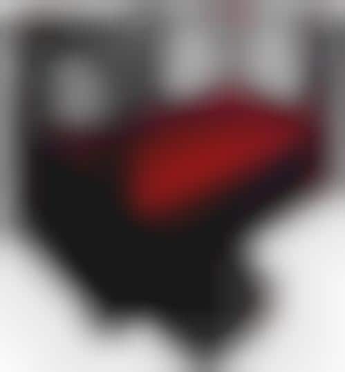 Boxing Ring Beds : The Throwdown Bed