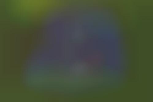 Massive Human Art Installations : 350 Earth