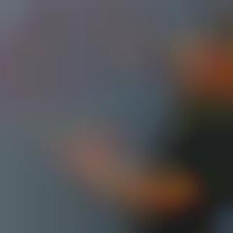 Gory Wall Decals : Bloody Handprints Wall Stickers