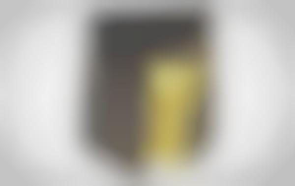 Groin Guards : blast boxers by bcb