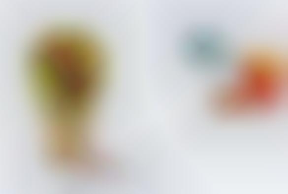 Spotlight-Hogging Food : mcdonald's mcwrap