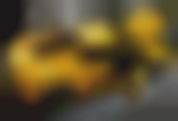 Luxury Auto Blocks : lego lamborghini