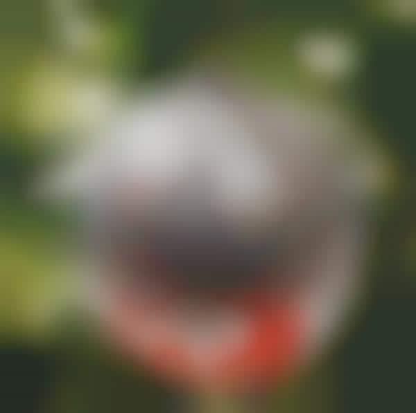 Deceivingly Annoying Decorations : TannenBomb Prank Holiday Ornament