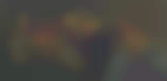 Hilarious Insurance Ads : 1st for Women Insurance Brokers