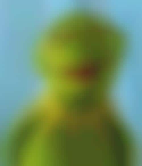 Practically People Puppets : muppets with people eyes