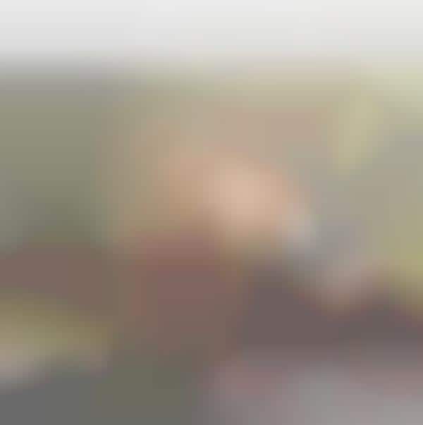 Dreamy Fairytale Shoots : deanne cheuk