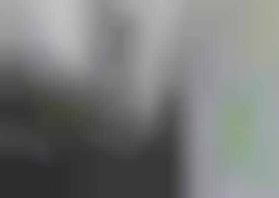 Eco Street Lighting : biolamp streetlamp