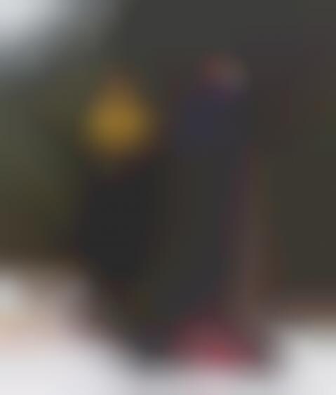 Motorized Skis : the Skizee